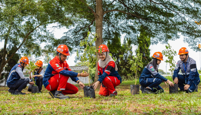 Lanjut Tanam 433 Pohon Trembesi, WSBP Terus Lakukan Pembangunan ...